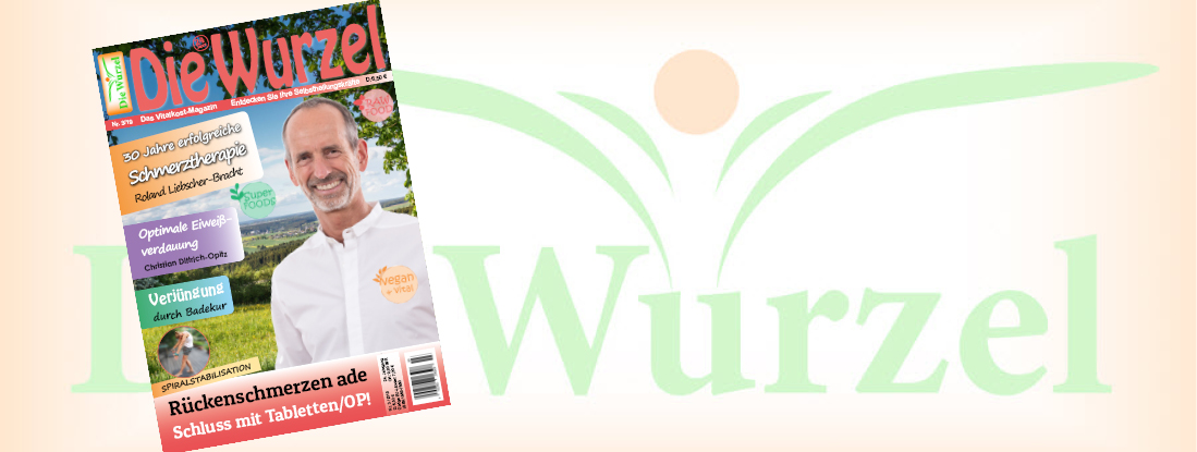 Home – Die Wurzel